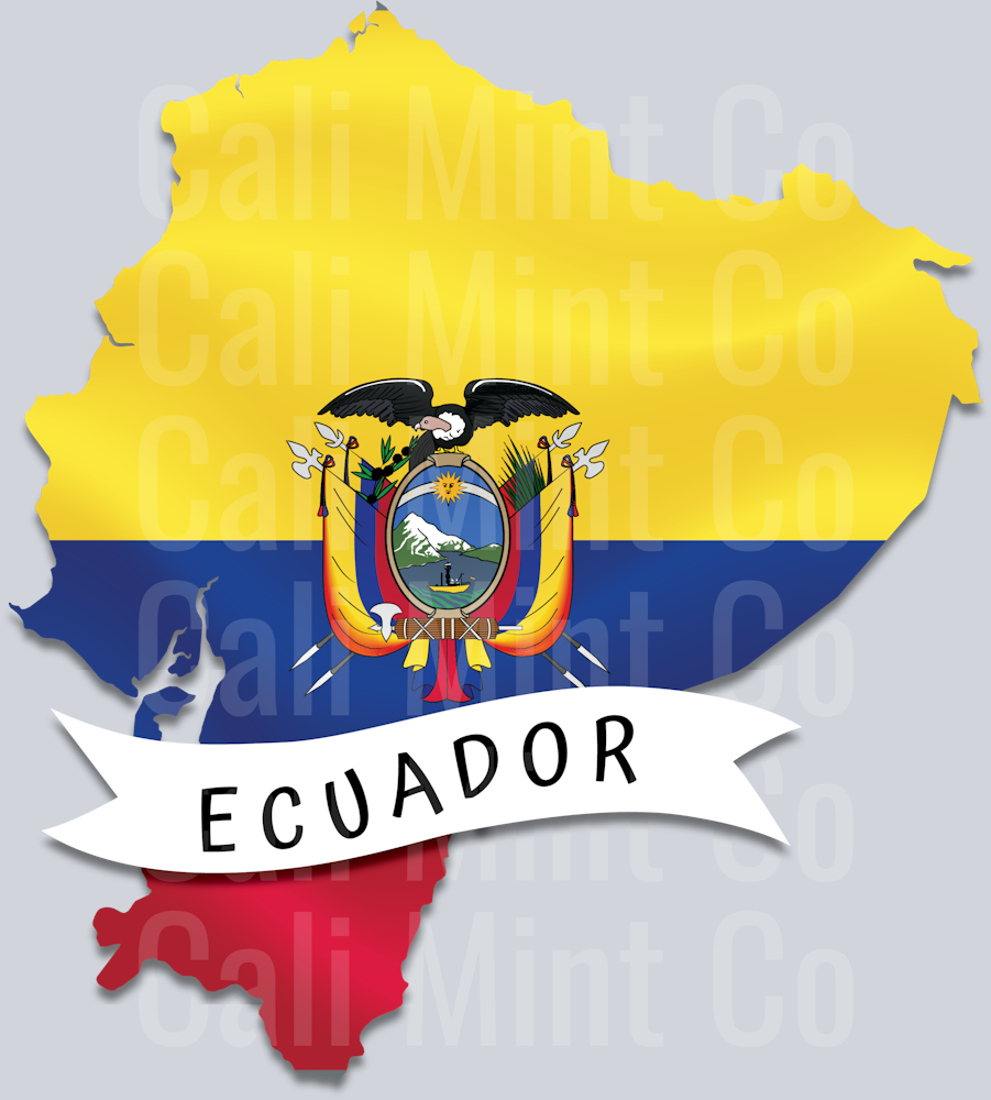 ECUADOR- BOSTONIA COUNTRY SHIRTS | Cali Mint Co